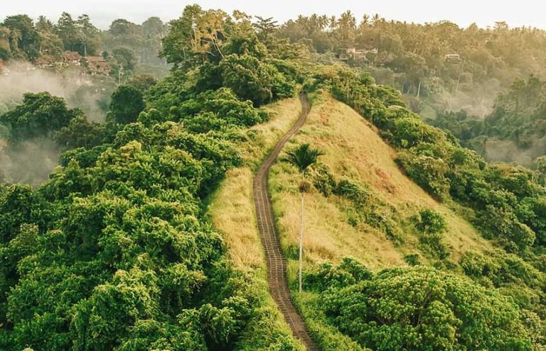 Wisata Sembari Olahraga Di Campuhan Ridge Walk | Konten Bisnis ID