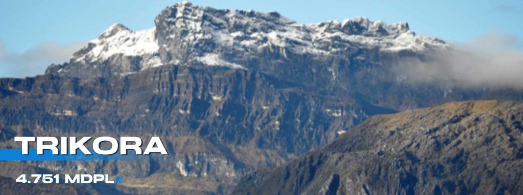 Apa Keunikan Gunung Di Papua Yang Patut Dikunjungi? | Konten Bisnis ID